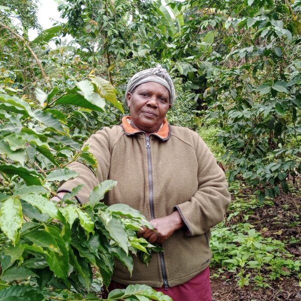 Fresh Roasted Beans - Kéan Coffee